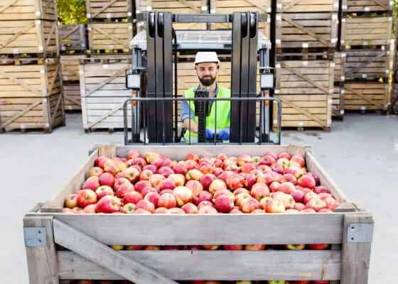 Food Distribution Companies in UAE | Al Maya Trading Company